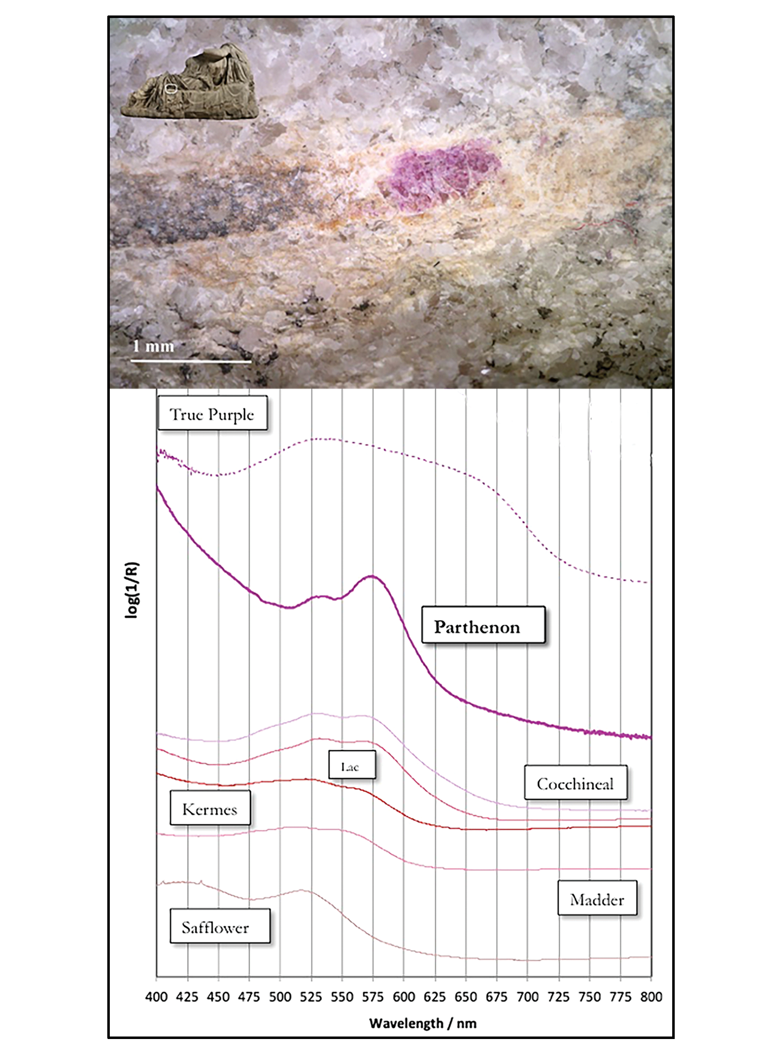 The Parthenon Marbles Were Painted in Bright Colors and With Intricate Designs, a New Study Reveals