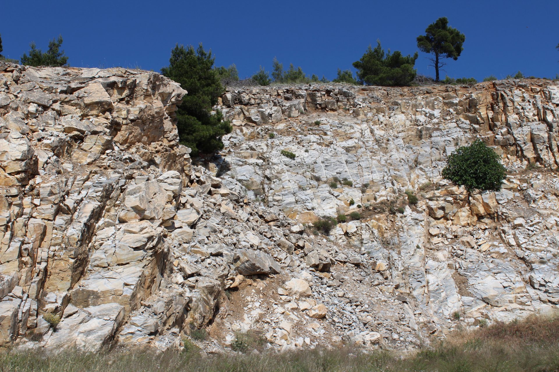 The Parthenon Marbles Dispute: From the Slopes of Mount Pentelikos